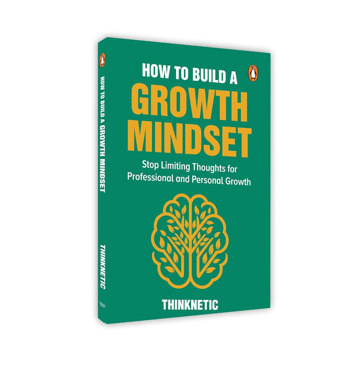 How To Build A Growth Mindset: Stop Limiting Thoughts For Professional And Personal Growth ...
