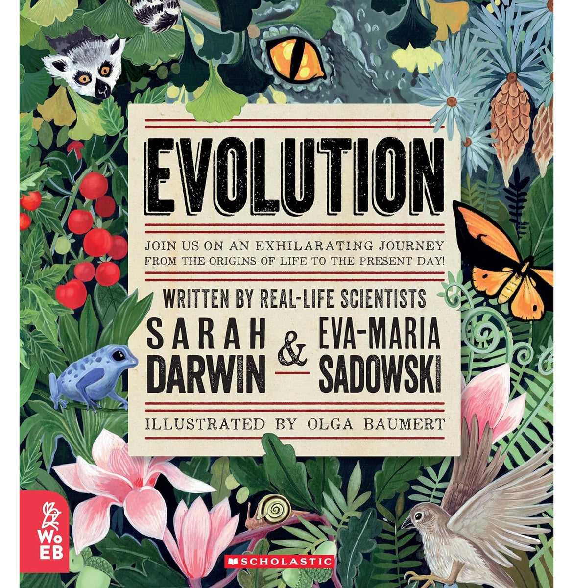 Evolution 5464